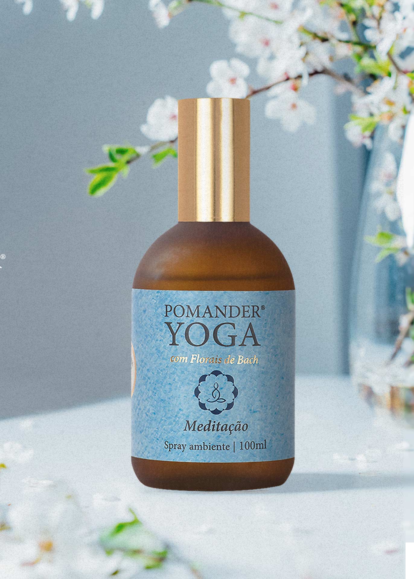 Spray Meditação Pomander - 100ml | TFC Market - Track&Field